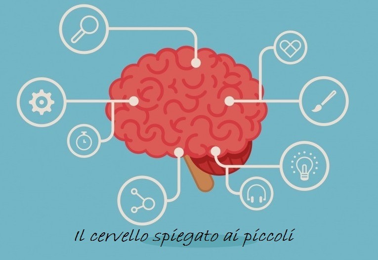 Il Cervello spiegato ai piccoli - Settimana del Cervello