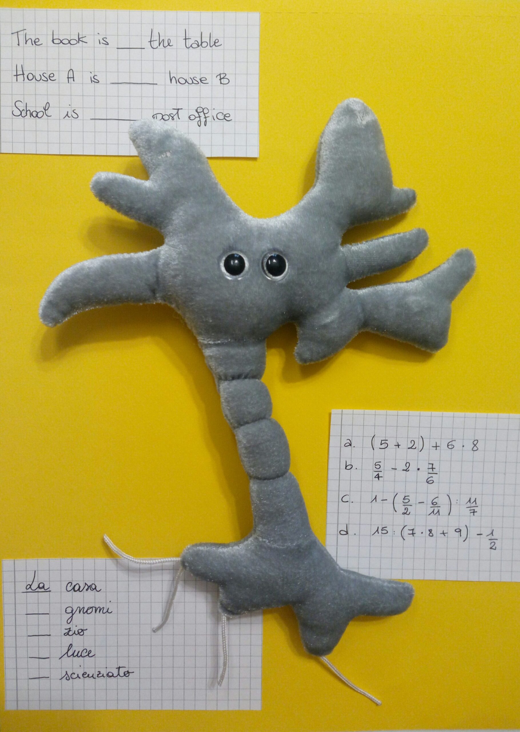 DSA? Screening delle difficoltà di apprendimento - Settimana del Cervello