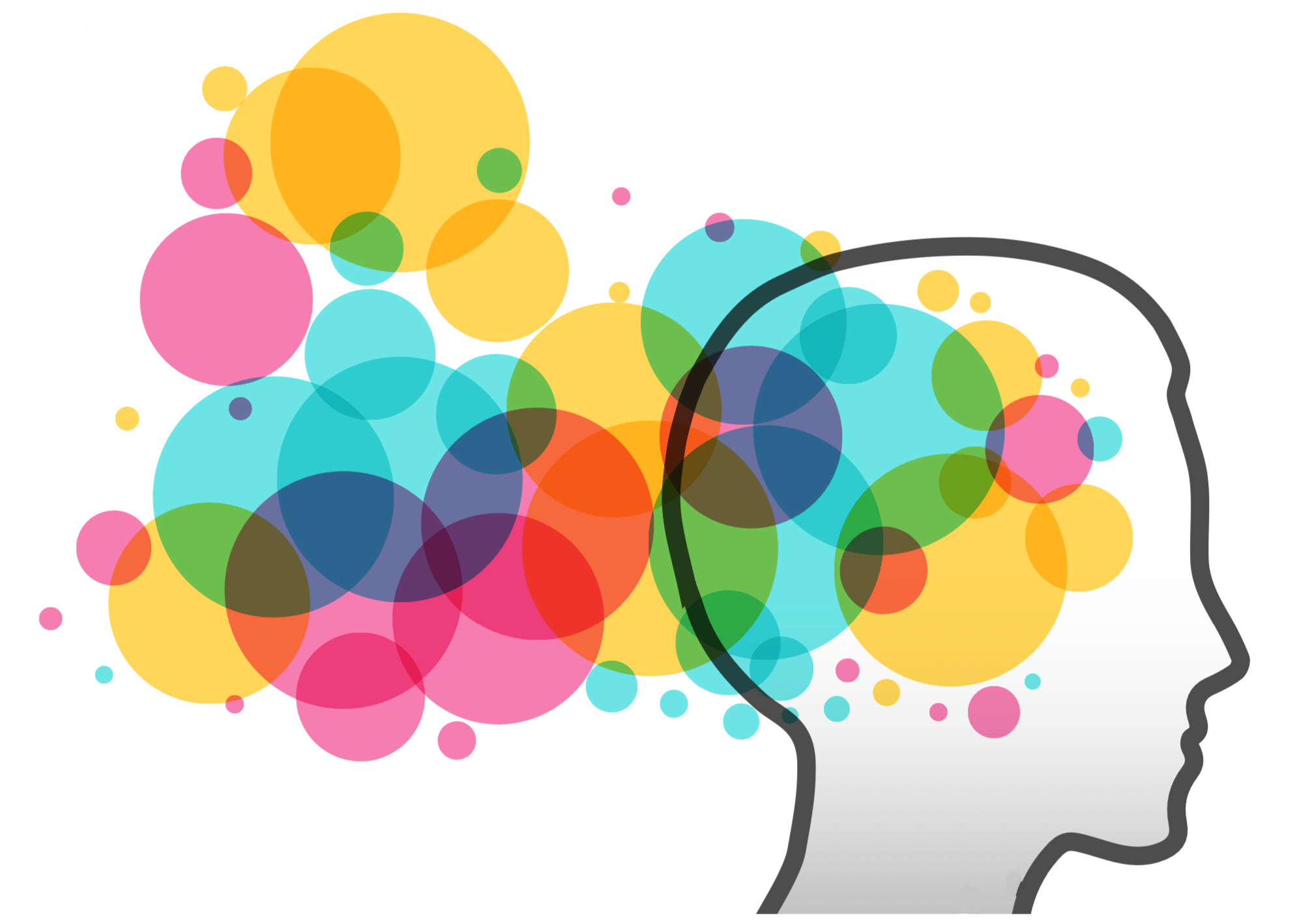 Imparare a imparare - Settimana del Cervello